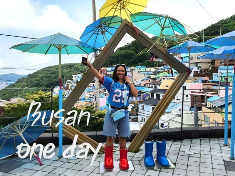 Busan / Gyeongju Customizable Private Tour (up to 8pax) - Practical Tips for Booking and Enjoyment
