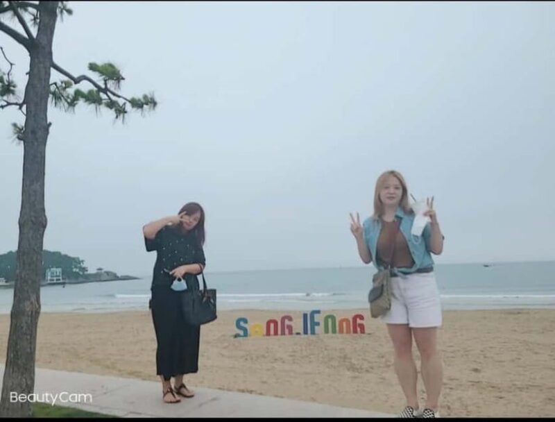 Busan: Gyeongju Shared Sunset Tour in Luxury Van - FAQs