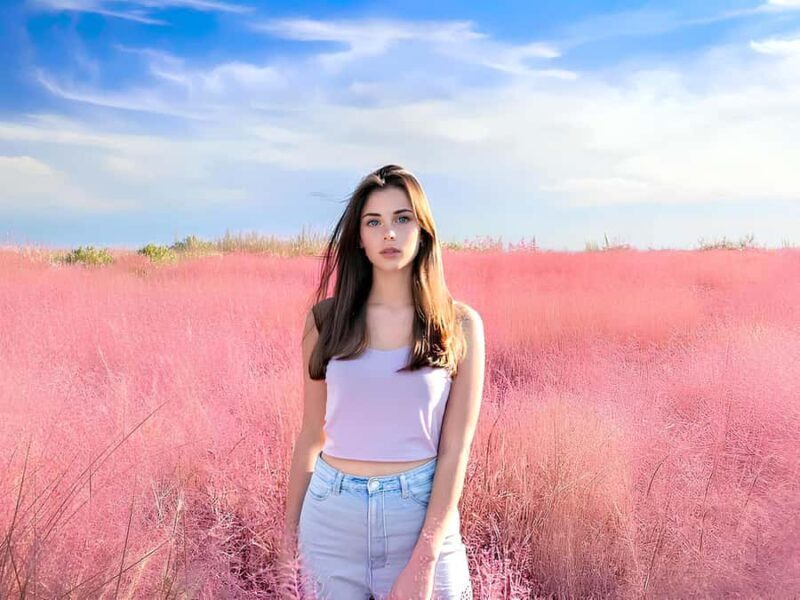 Busan: Gyeongju UNESCO Customizable Private Day & Night Tour - Key Points