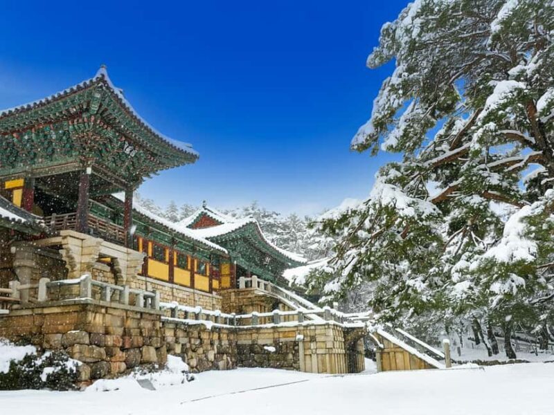 Busan: Gyeongju UNESCO Legacy Tour with National Museum - Key Points