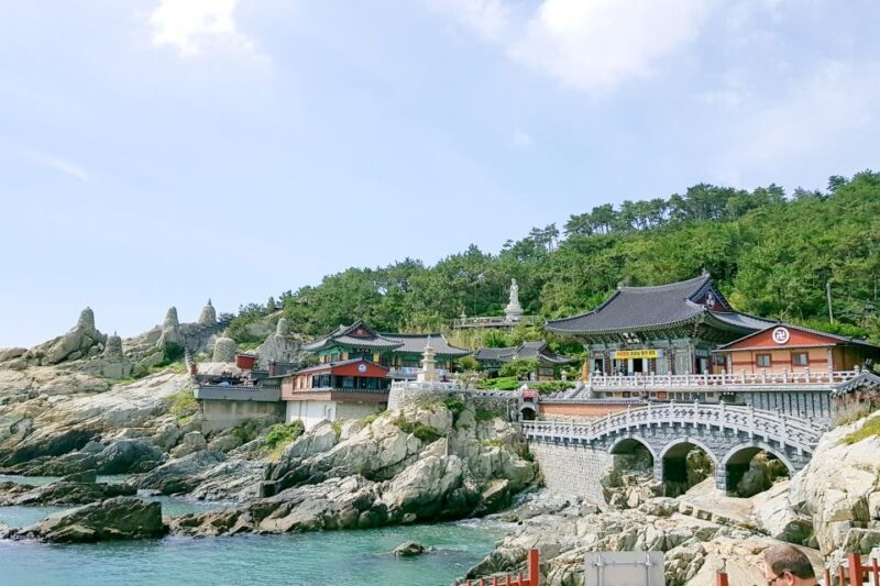 Busan: Haedong Yonggungsa Temple, Camellias Island & More - A Full Breakdown of the Experience