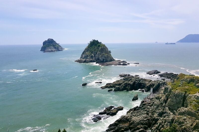 Busan: Haedong Yonggungsa Temple, Camellias Island & More - Who Would Enjoy This Tour?