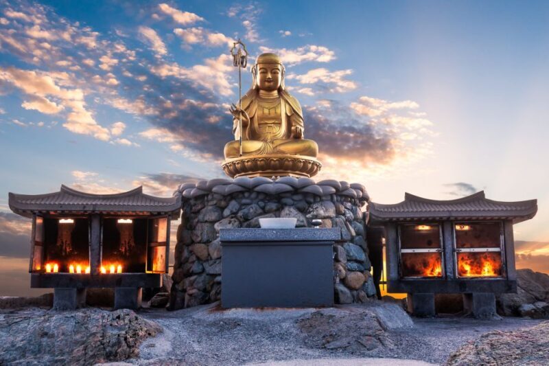 Busan: Haedong Yonggungsa Temple, Camellias Island & More - The Sum Up: Is This Tour Worth It?