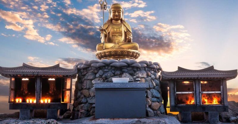 Busan: Haedong Yonggungsa Temple, Camellias Island & More - FAQ: Common Questions About the Busan Tour