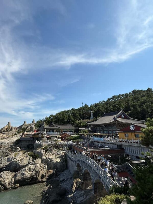 Busan: Haedong Yonggungsa Temple &Fishing Village Tour - Who Is This Tour Best For?
