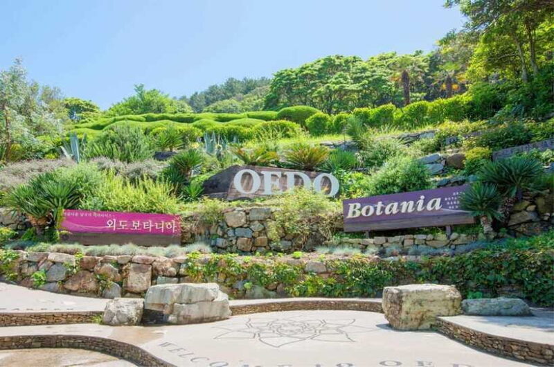 Busan: Hidden Gem Geoje & Oedo Botania Island & Cable car - Review Highlights: Authentic Experiences Shared