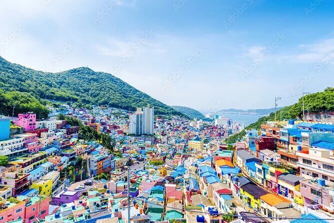 Busan Hidden Gems Beaches and Local Food Private Tour - Exploring Busan’s Hidden Gems: Beaches and Local Flavors