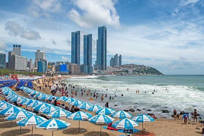 Busan Hidden Gems Beaches and Local Food Private Tour - A Deep Dive Into the Itinerary
