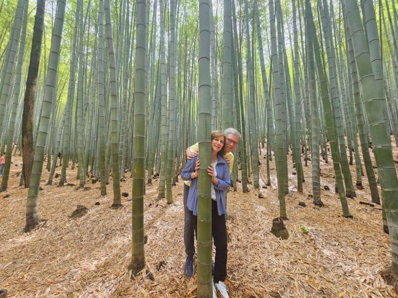 Busan Hidden Gems Private Tour with a Certified Guide - Introduction