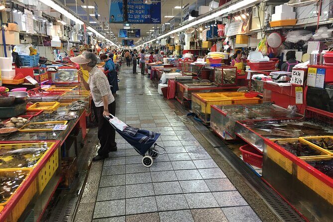 Busan highlight small group tour including Gamcheon and Yonggugsa temple - A Detailed Look at What to Expect