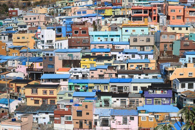 Busan highlight small group tour including Gamcheon and Yonggugsa temple - FAQ