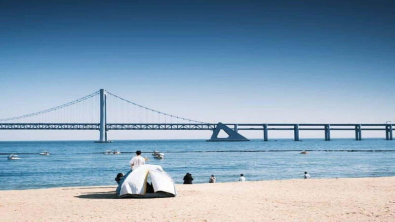 Busan: Jagalchi Market & Gamcheon village Walking Tour - Who Should Consider This Tour?