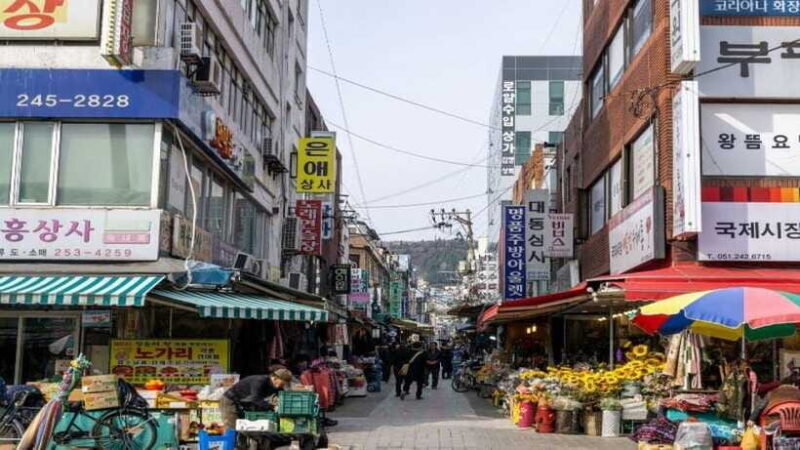 Busan: Jagalchi Market & Gamcheon village Walking Tour - Final Thoughts