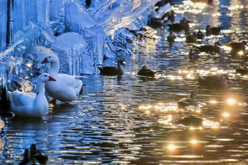 Busan: Kookmin Healing Park & Cheongsong Private Taxi Tour - Key Points