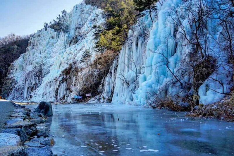 Busan: Kookmin Healing Park & Cheongsong Private Taxi Tour - Exploring Korea’s Winter Wonders: An In-Depth Look