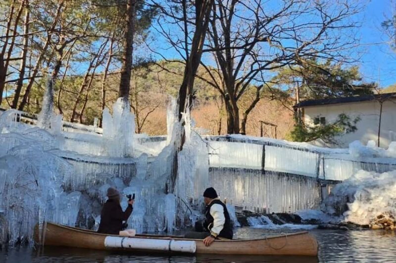 Busan: Kookmin Healing Park & Cheongsong Private Taxi Tour - The Sum Up