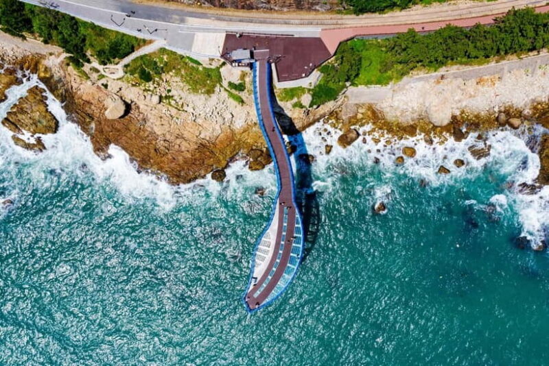 Busan: Max Out City Highlights Photo Spots Full Day Tour - Who Will Love This Tour?