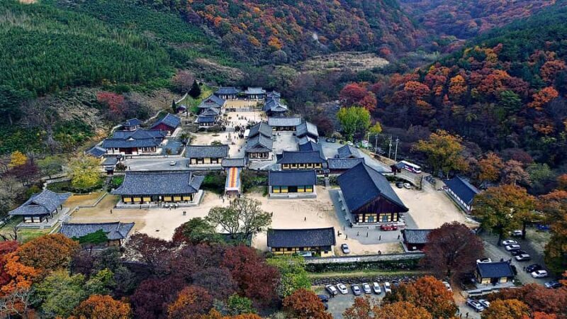 Busan: Miryang Day Tour with Apple Makgeolli Experience - The Sum Up