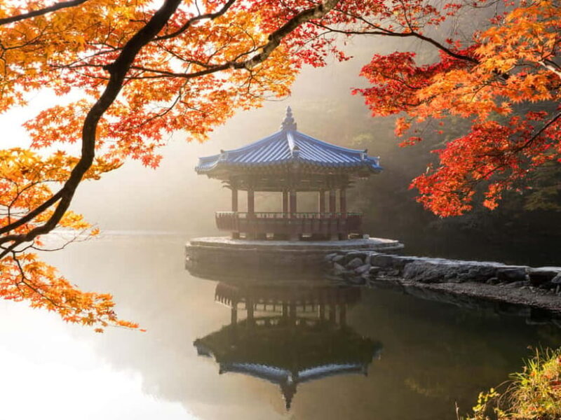 Busan: Naejangsan National Park Autumn Foliage One Day Tour - Who Will Benefit Most?