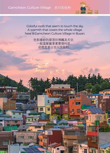 Busan Night Tour & Optional Snapshots - Key Points