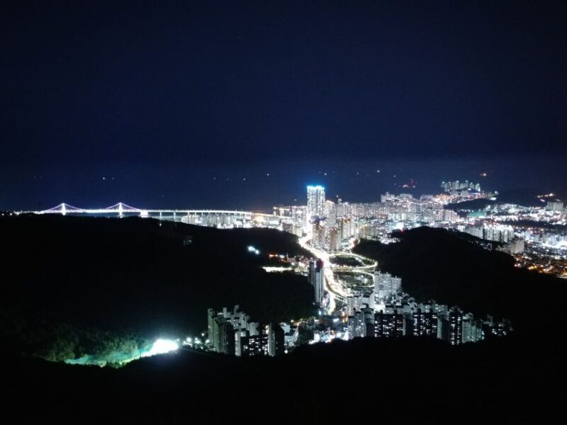 Busan: Night Viewpoints with Evening Cruise w/ Fireworks - What Travelers Are Saying