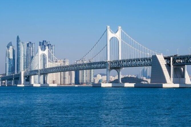 Busan ONE-DAY Highlights for PRIVATE CRUISE PASSENGER'S - Key Points: