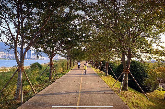 Busan Private Bike Tour - Who Should Consider This Tour?