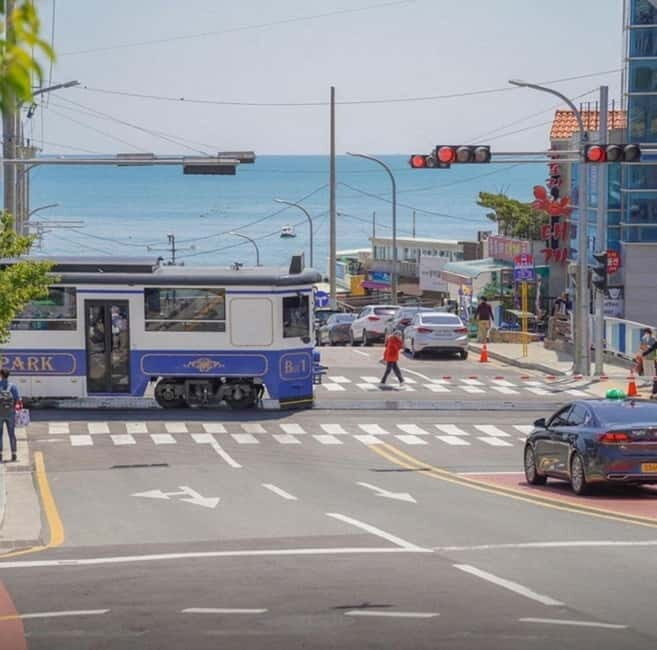 Busan: Private Chartered Car Tour - Key Points