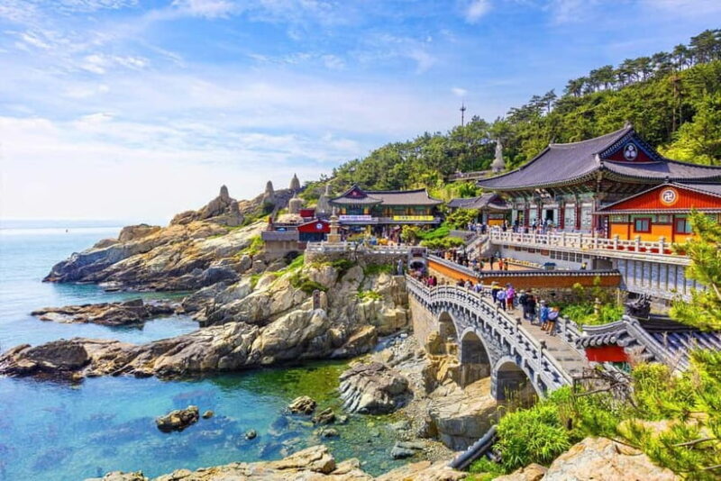 Busan: Private Chartered Car Tour - Final Thoughts: Is It Worth It?