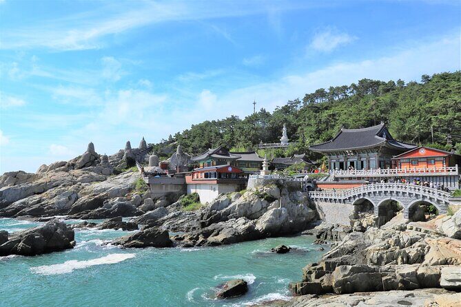 Busan Private Chauffeur Service with professional driver - Who Should Consider This Tour