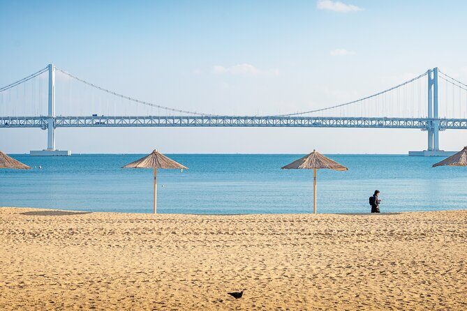 Busan Private Chauffeur Service with professional driver - FAQ