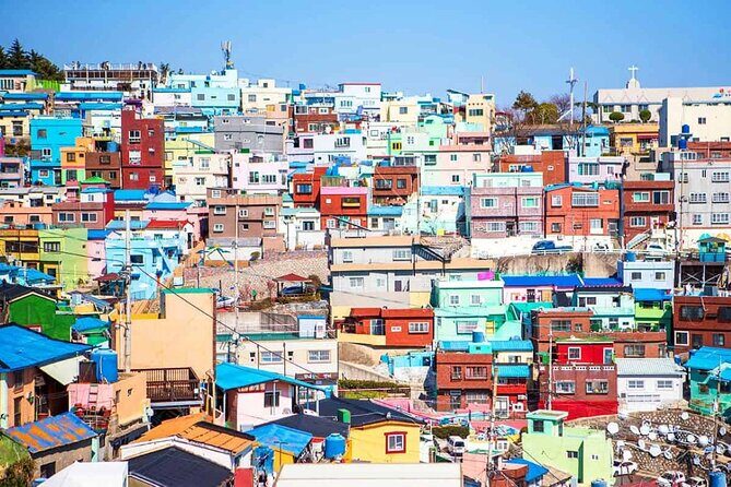 Busan Private Customizable City Tour with Licensed Local Guide - Why Choose a Private, Customizable Tour?