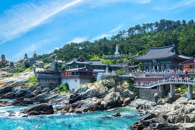 Busan Private Fullday Tour (From min 2 ppl) - Key Points