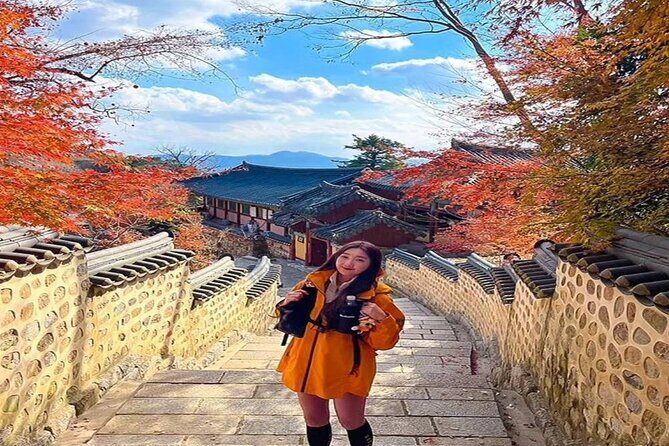 Busan Private Hiking Tour : Panoramic Views Awaits - FAQ