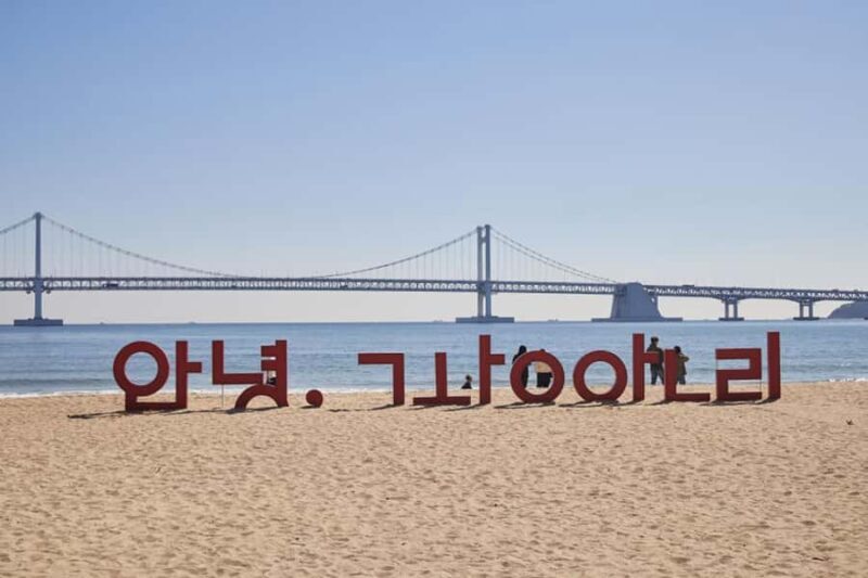 Busan: Private Taxi Tour - Port Cruise Shore Excursion - Why This Tour is a Good Fit