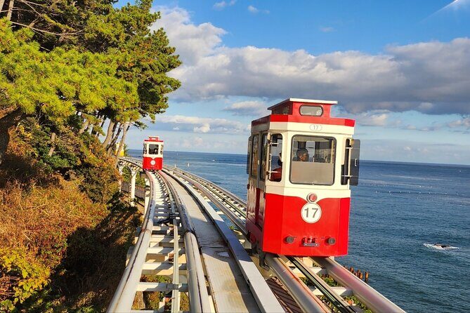 Busan Private Tour with an official tour guide - Transport, Timing, and Flexibility