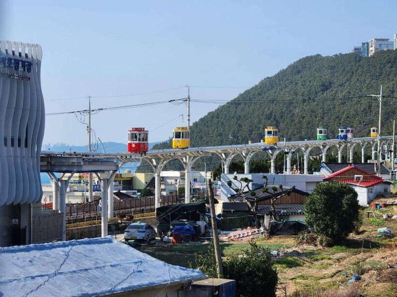 Busan private tour with an official tour guide - Key Points