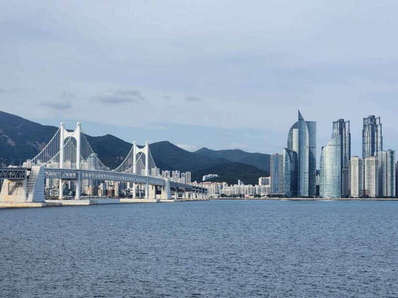 Busan private tour with an official tour guide - Final Thoughts: Who Will Love This Tour?
