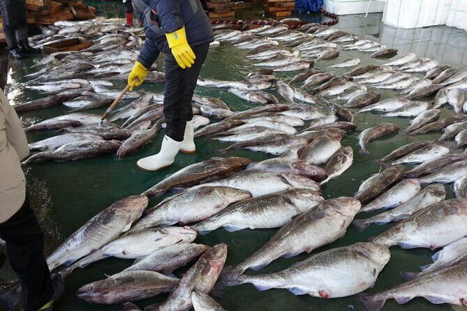 Busan seafood tour : Cod Auction and Clam Auction in Winter - FAQs