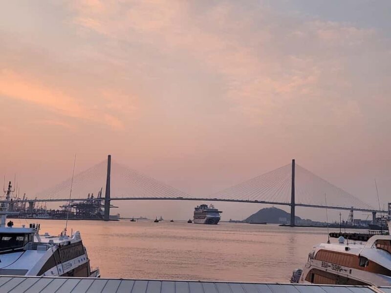 Busan: Shared Tour for Cruise Passengers (Max 12 Guests) - What to Expect from Your Busan Tour