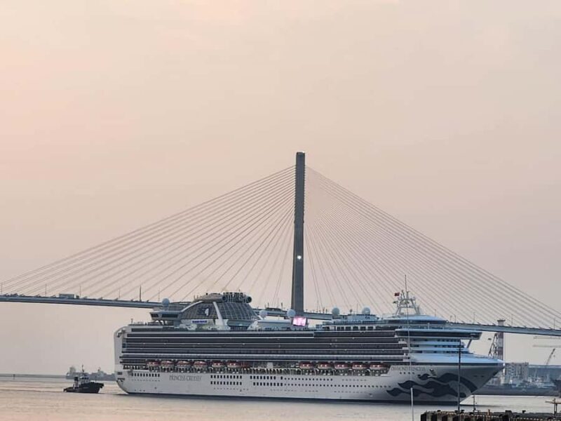 Busan: Shared Tour for Cruise Passengers (Max 12 Guests) - Who Should Consider This Tour?