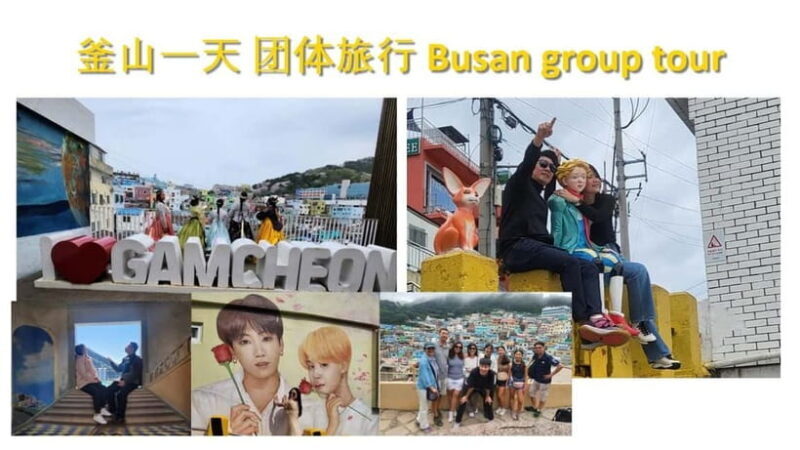 Busan shared Tour for Cruise Ship Passengers Max 15 guests - Key Points