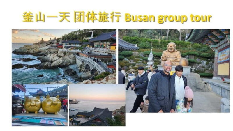 Busan shared Tour for Cruise Ship Passengers Max 15 guests - Exploring Busan’s Highlights: What You Can Expect