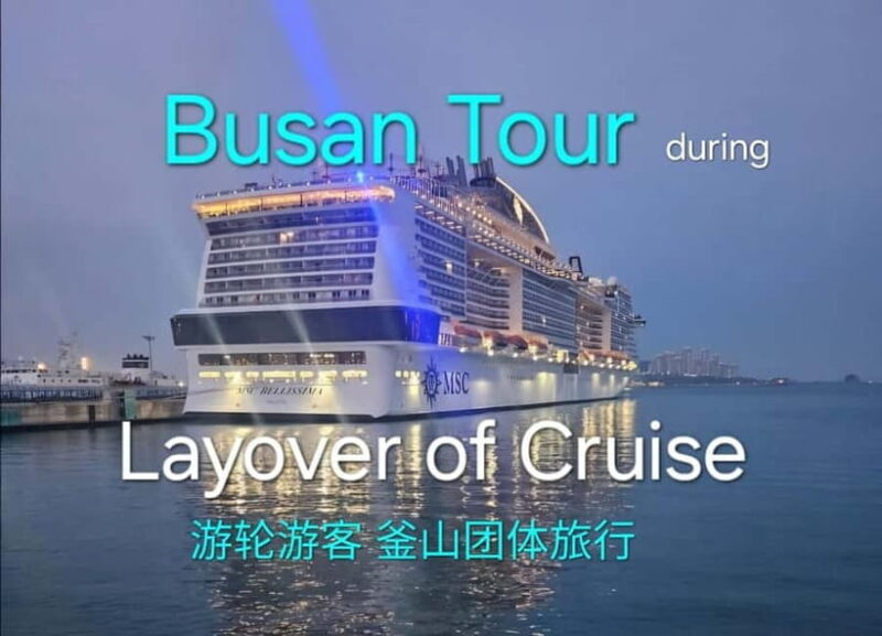 Busan shared Tour for Cruise Ship Passengers Max 15 guests - Who Will Enjoy This Tour?