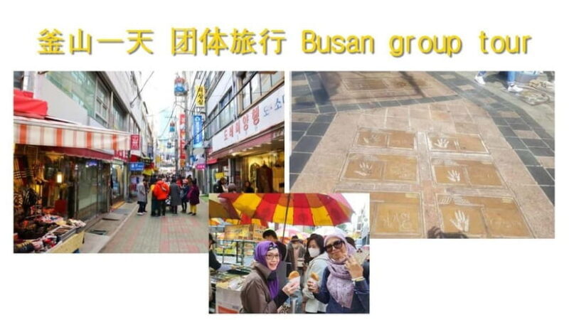 Busan shared Tour for Cruise Ship Passengers Max 15 guests - Conclusions: Who’s the Best Fit?