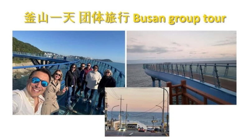 Busan shared Tour for Cruise Ship Passengers Max 15 guests - FAQ: Practical Questions About the Busan Shared Tour