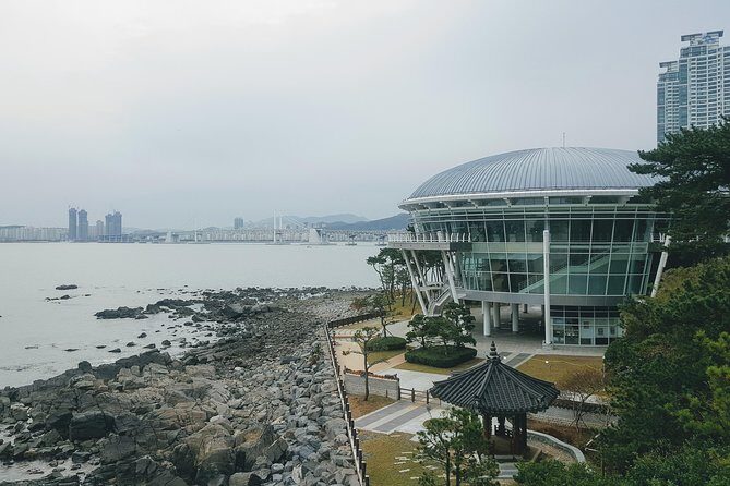 Busan Shore Excursion; Private City Tour - A Deep Dive into the Busan Shore Excursion