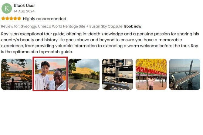 Busan Sky Capsule Gyeongju Historical Tour in Private Minivan - Who Is This Tour Best Suited For?