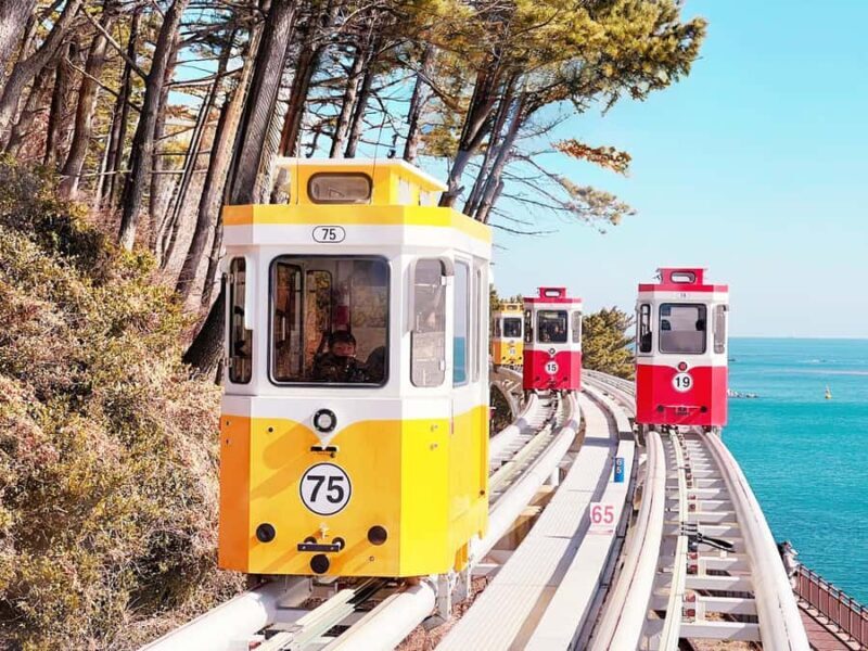 Busan: Sky Capsule or Gyeongju Cherry Blossom Spring Tour - Key Points