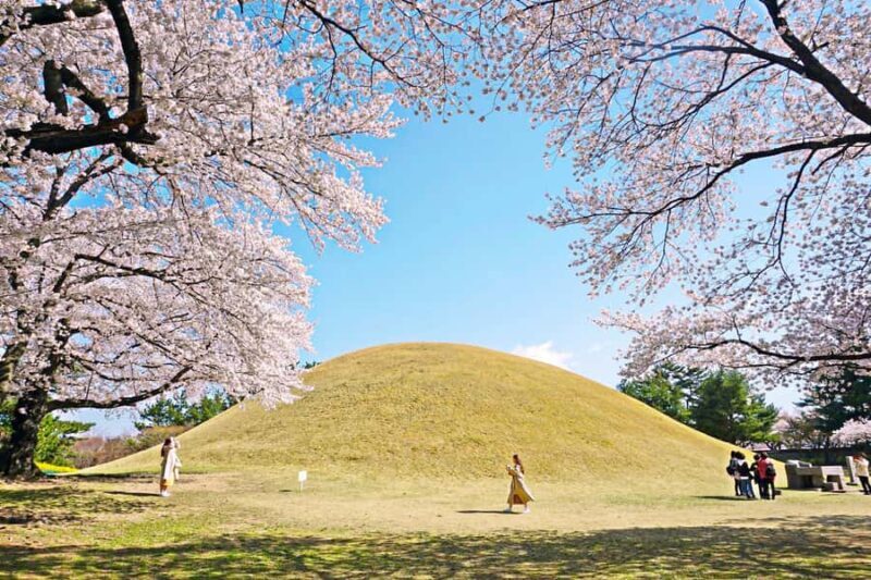 Busan: Sky Capsule or Gyeongju Cherry Blossom Spring Tour - Who Would Love This Tour?